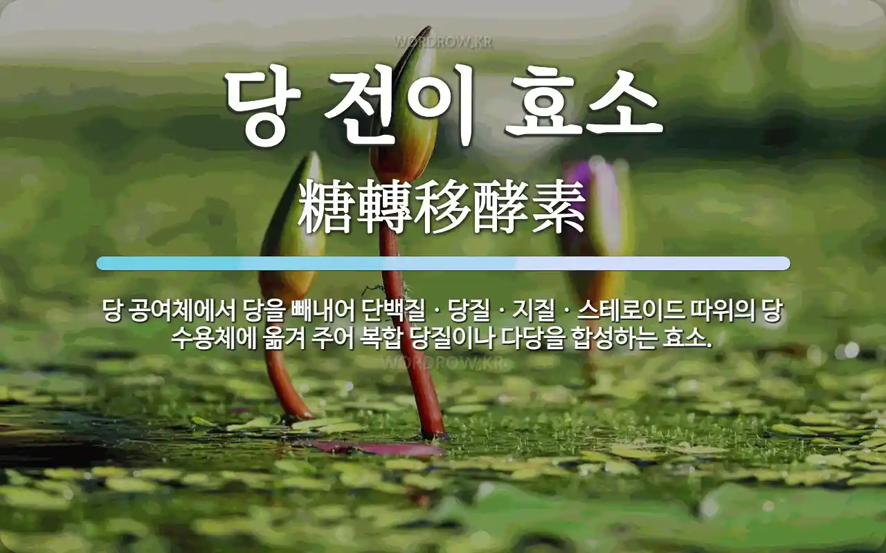 당 전이 효소 뜻 당 공여체에서 당을 빼내어 단백질ㆍ당질ㆍ지질ㆍ스테로이드 따위의 당 수용체에 옮겨 주어 복합