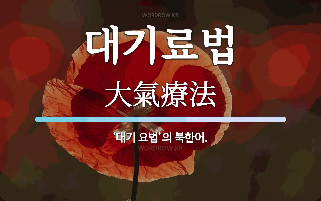 대기료법 뜻 ‘대기 요법의 북한어