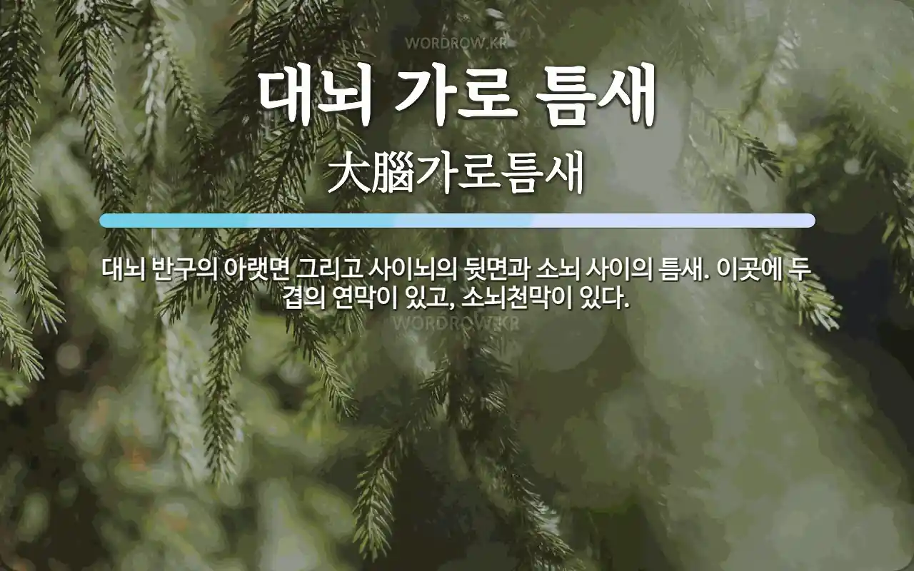 대뇌 가로 틈새 뜻 대뇌 반구의 아랫면 그리고 사이뇌의 뒷면과 소뇌 사이의 틈새 이곳에 두 겹의 연막이 있고