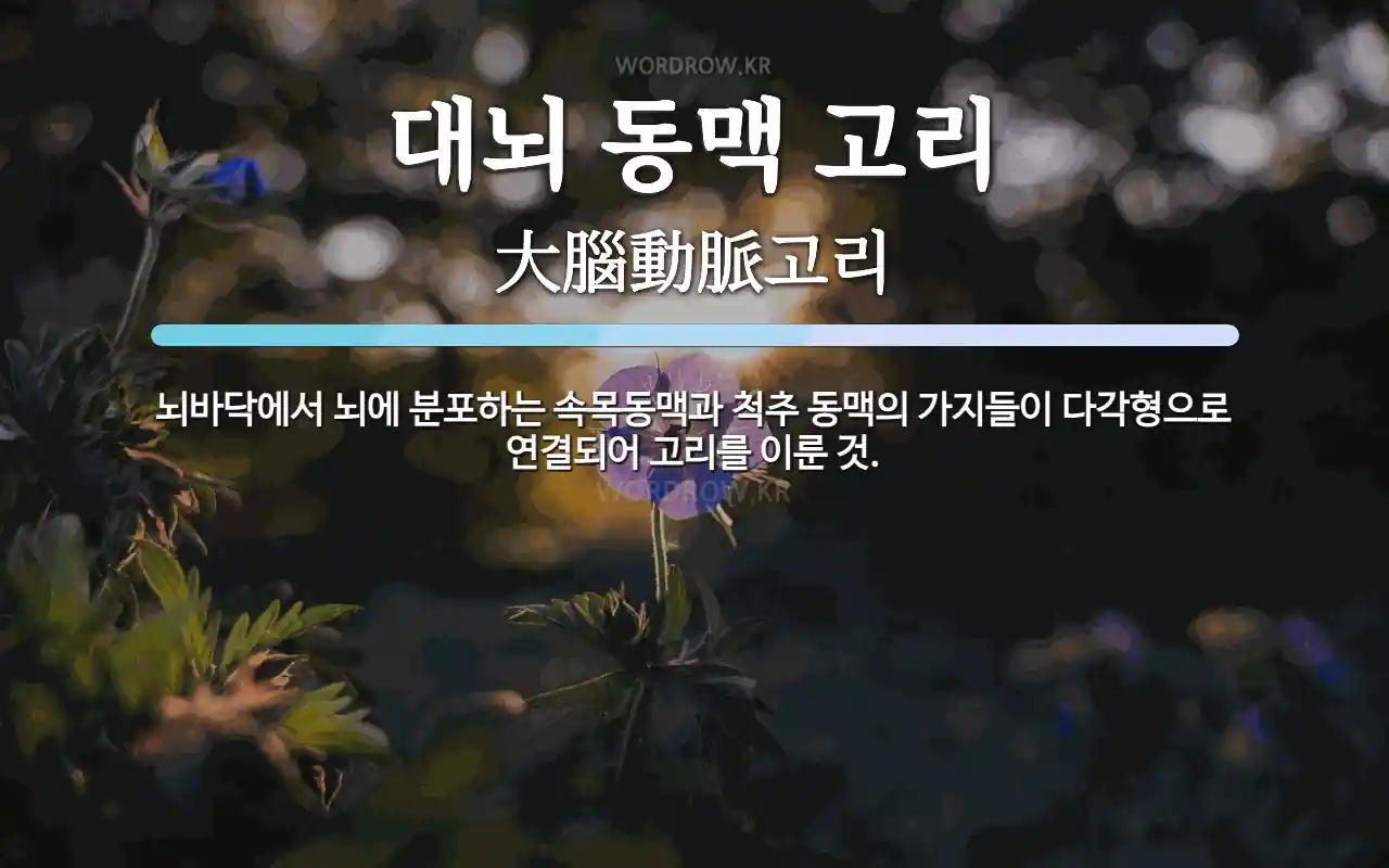 대뇌 동맥 고리 뜻 뇌바닥에서 뇌에 분포하는 속목동맥과 척추 동맥의 가지들이 다각형으로 연결되어 고리를 이룬