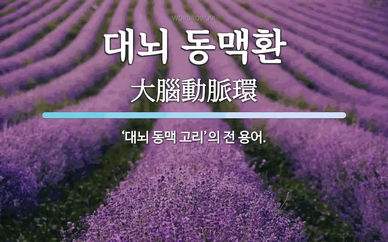 대뇌 동맥환 뜻 ‘대뇌 동맥 고리의 전 용어