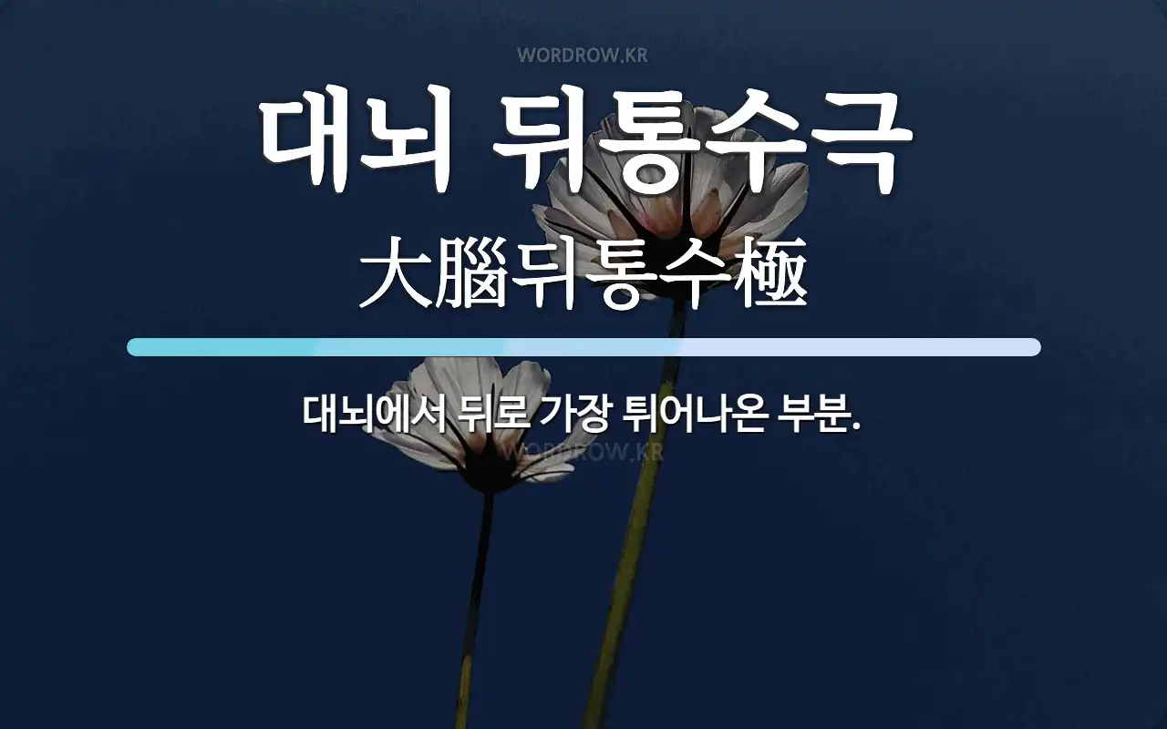 대뇌 뒤통수극 뜻 대뇌에서 뒤로 가장 튀어나온 부분
