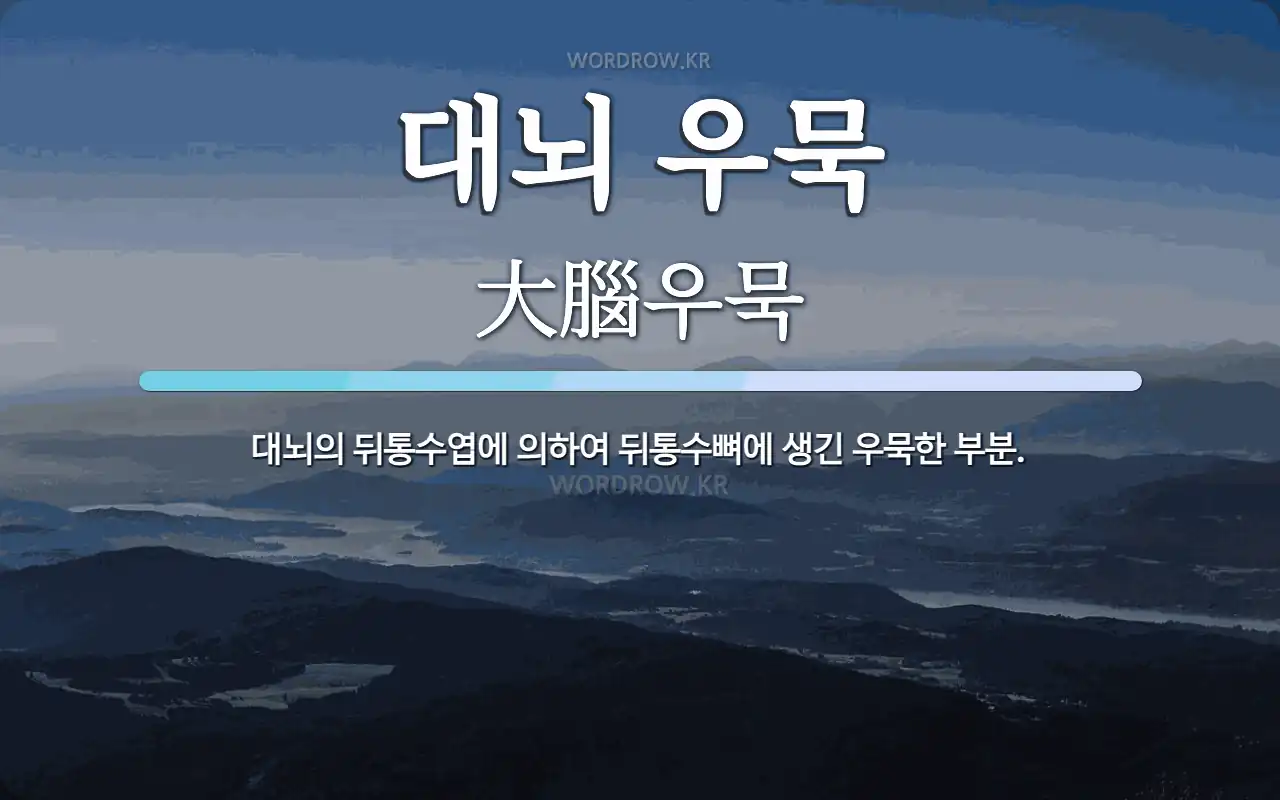 대뇌 우묵 뜻 대뇌의 뒤통수엽에 의하여 뒤통수뼈에 생긴 우묵한 부분