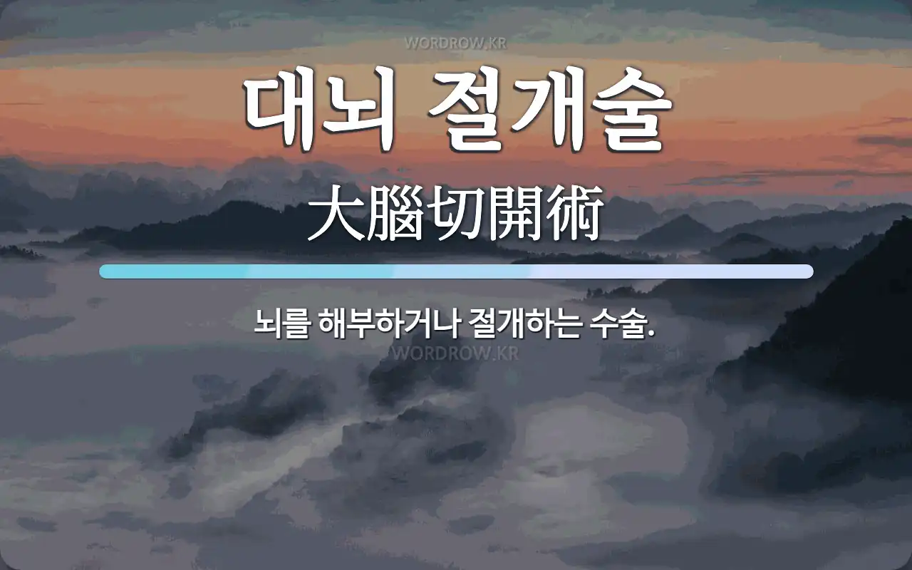 대뇌 절개술 뜻 뇌를 해부하거나 절개하는 수술