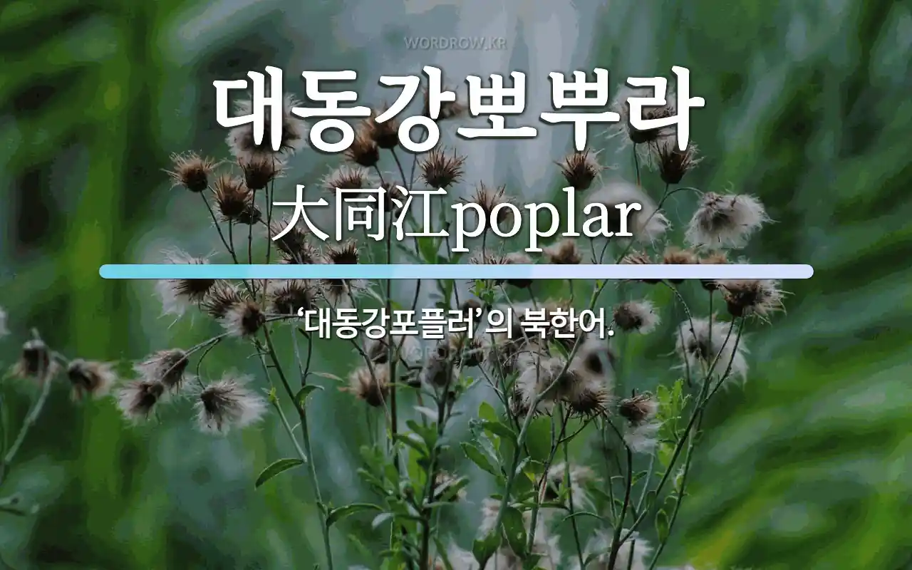 대동강뽀뿌라 뜻 ‘대동강포플러의 북한어