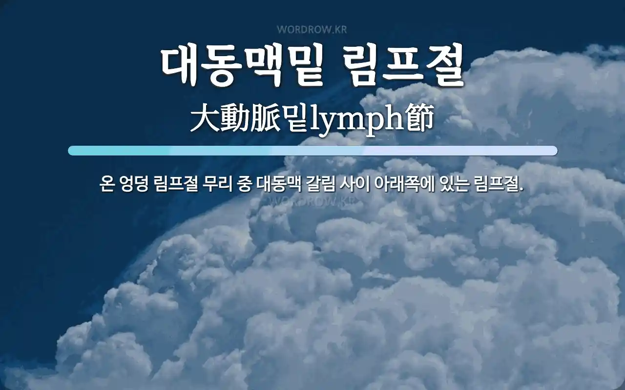 대동맥밑 림프절 뜻 온 엉덩 림프절 무리 중 대동맥 갈림 사이 아래쪽에 있는 림프절