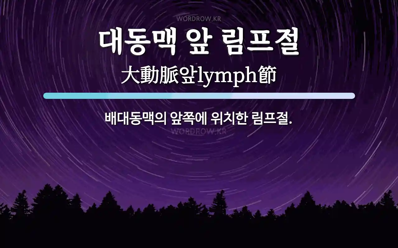 대동맥 앞 림프절 뜻 배대동맥의 앞쪽에 위치한 림프절
