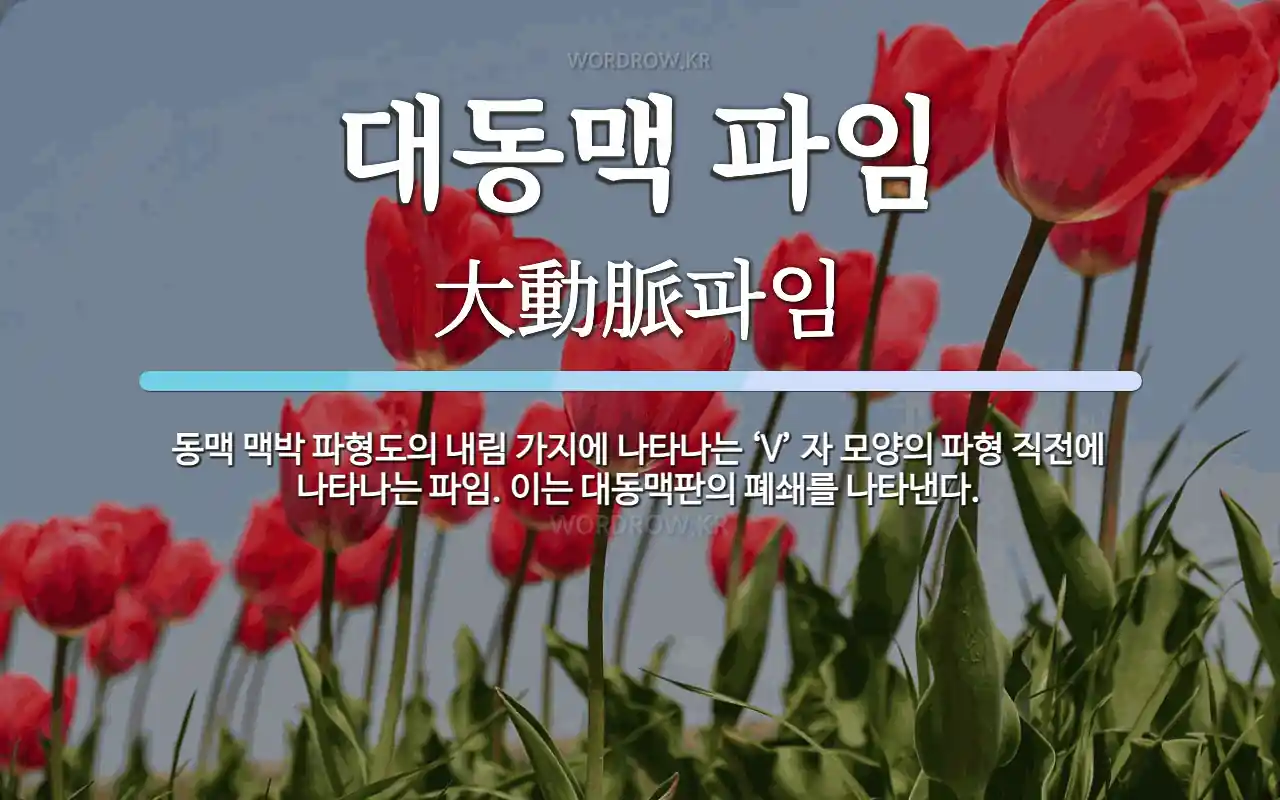 대동맥 파임 뜻 동맥 맥박 파형도의 내림 가지에 나타나는 ‘v 자 모양의 파형 직전에 나타나는 파임 이
