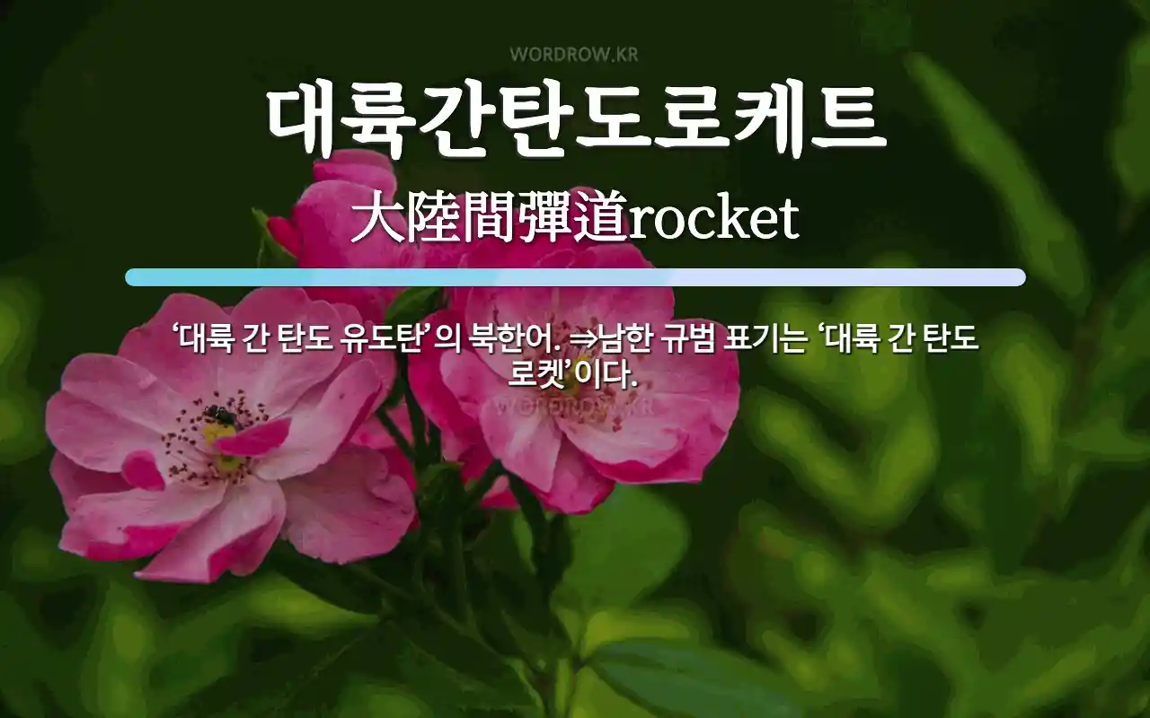 대륙간탄도로케트 뜻 ‘대륙 간 탄도 유도탄의 북한어 ⇒남한 규범 표기는 ‘대륙 간 탄도 로켓이다