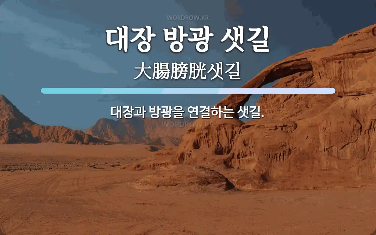 대장 방광 샛길 뜻 대장과 방광을 연결하는 샛길