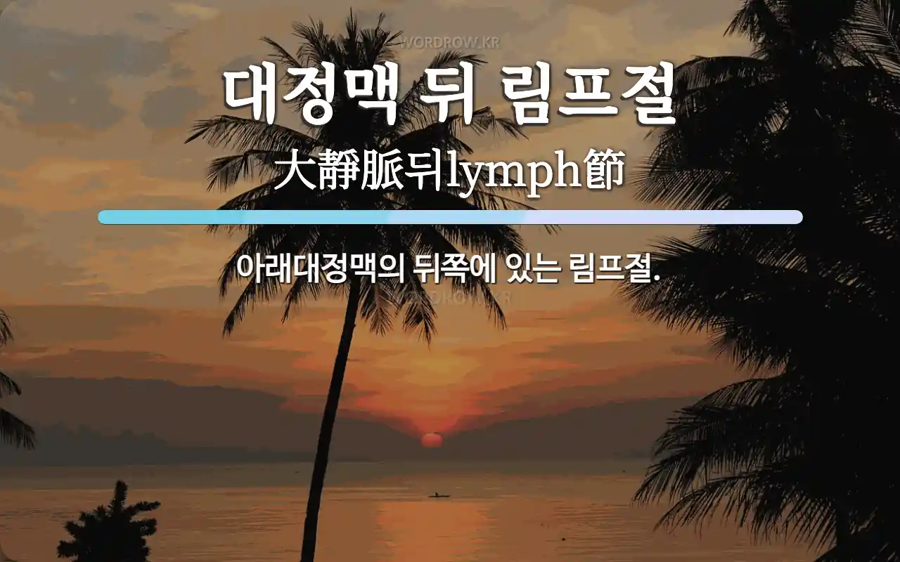 대정맥 뒤 림프절 뜻 아래대정맥의 뒤쪽에 있는 림프절