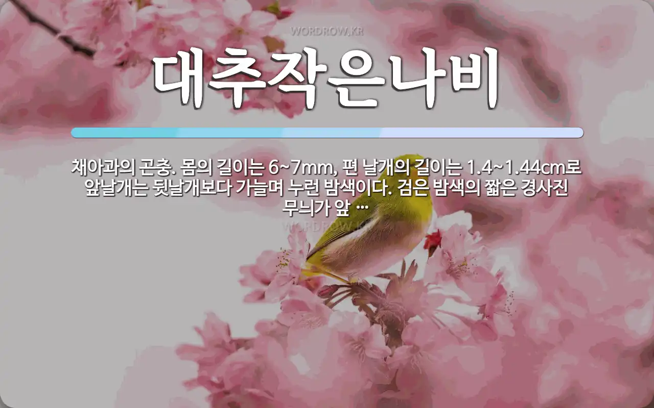대추작은나비 뜻 채아과의 곤충 몸의 길이는 6~7mm 편 날개의 길이는 14~144cm로 앞날개는