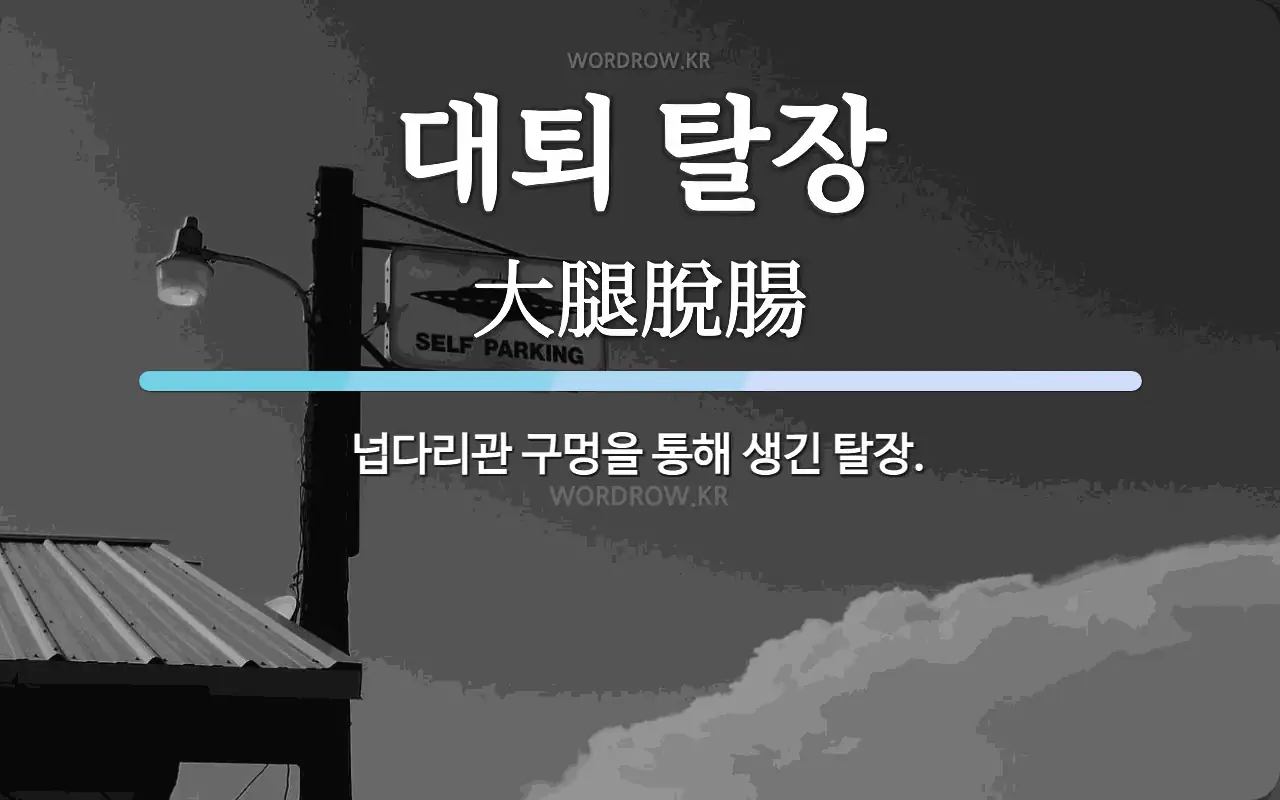 대퇴 탈장 뜻 넙다리관 구멍을 통해 생긴 탈장