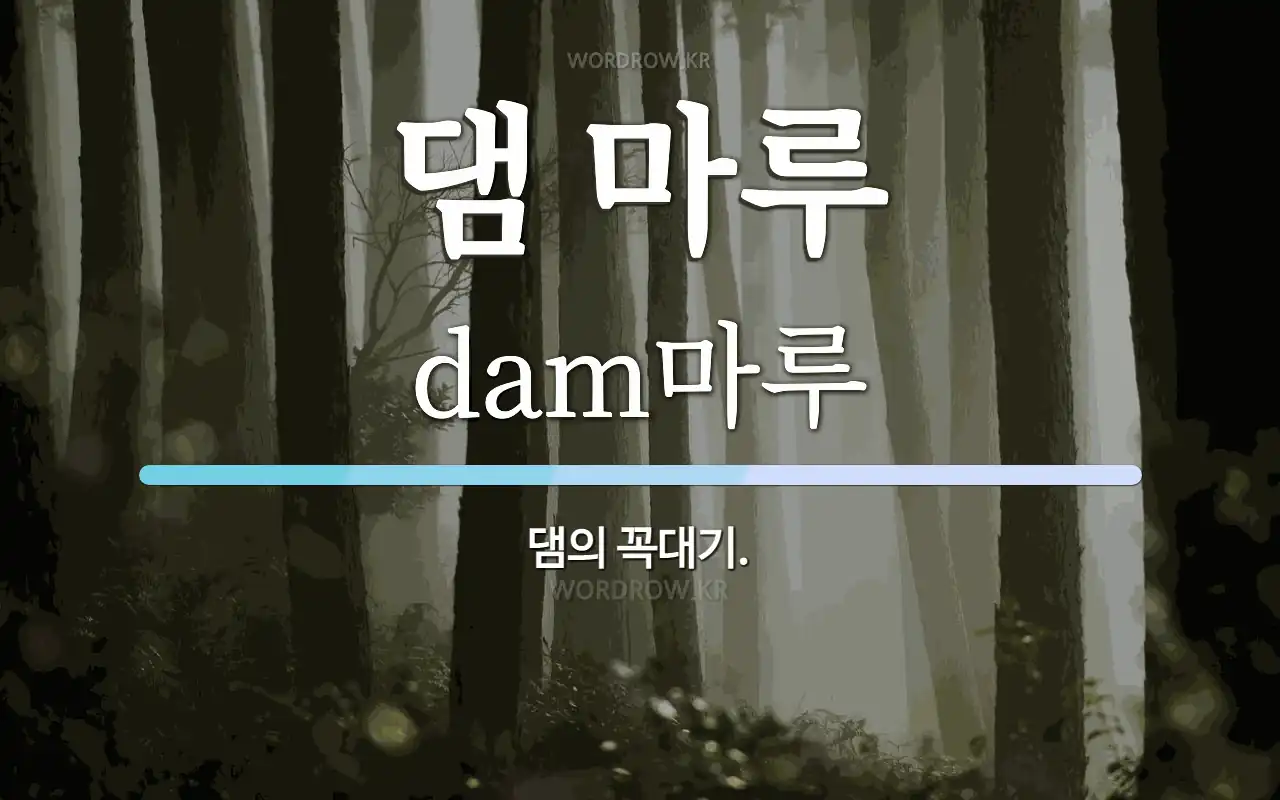 댐 마루 뜻 댐의 꼭대기
