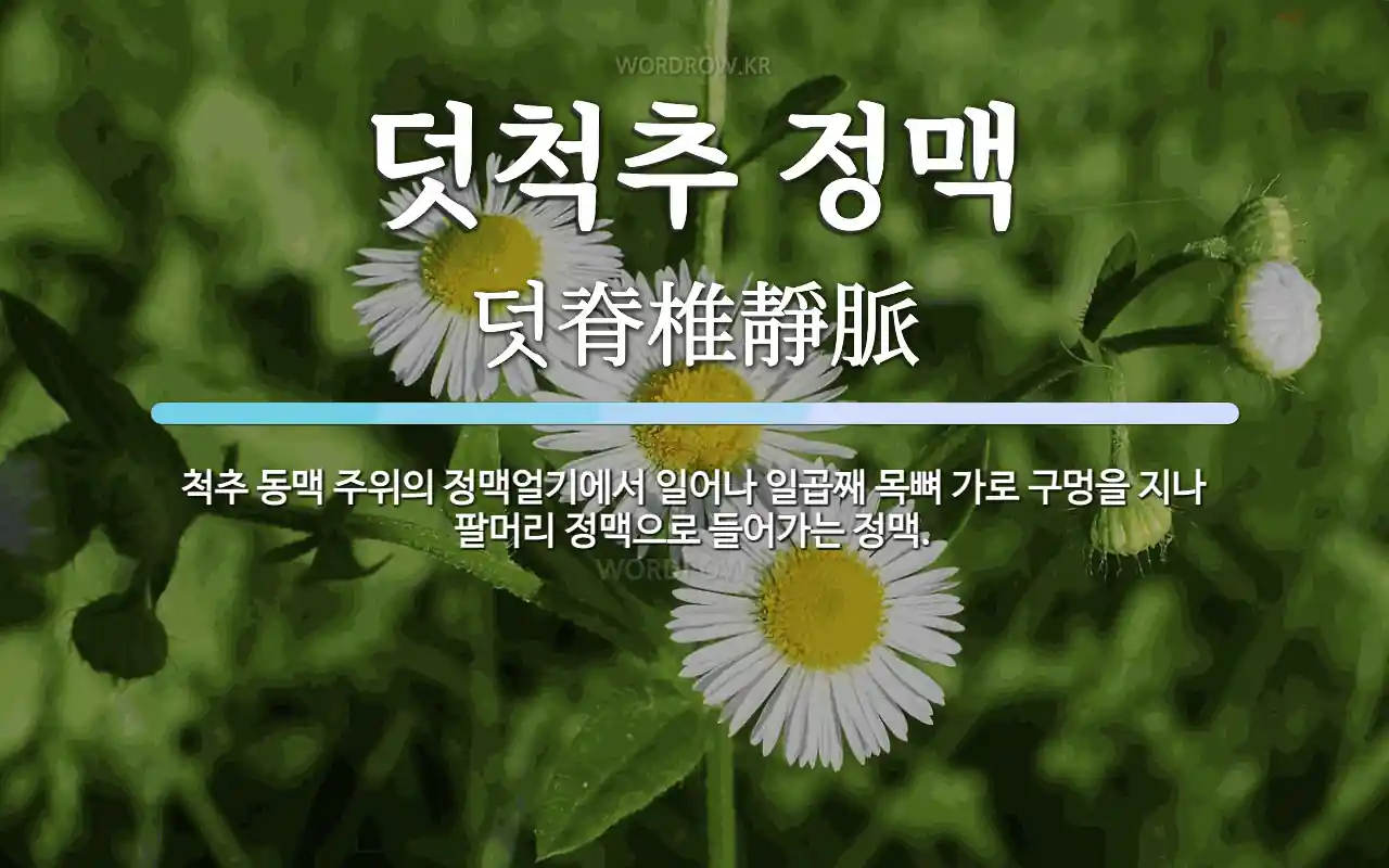 덧척추 정맥 뜻 척추 동맥 주위의 정맥얼기에서 일어나 일곱째 목뼈 가로 구멍을 지나 팔머리 정맥으로 들어가