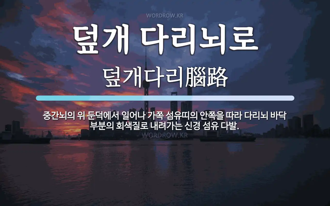 덮개 다리뇌로 뜻 중간뇌의 위 둔덕에서 일어나 가쪽 섬유띠의 안쪽을 따라 다리뇌 바닥 부분의 회색질로 내려가