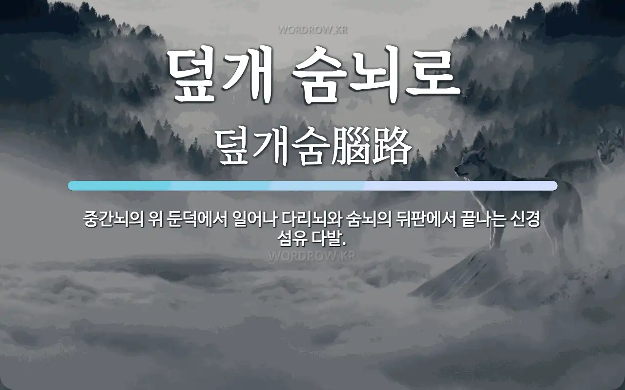 덮개 숨뇌로 뜻 중간뇌의 위 둔덕에서 일어나 다리뇌와 숨뇌의 뒤판에서 끝나는 신경 섬유 다발