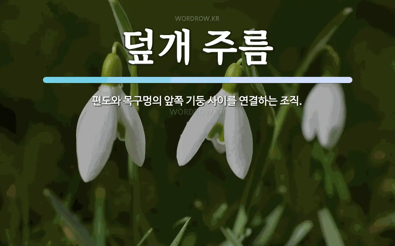 덮개 주름 뜻 편도와 목구멍의 앞쪽 기둥 사이를 연결하는 조직