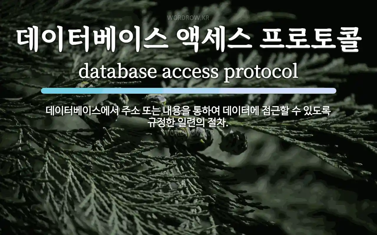 데이터베이스 액세스 프로토콜 뜻 데이터베이스에서 주소 또는 내용을 통하여 데이터에 접근할 수 있도록 규정한 일련의 절차