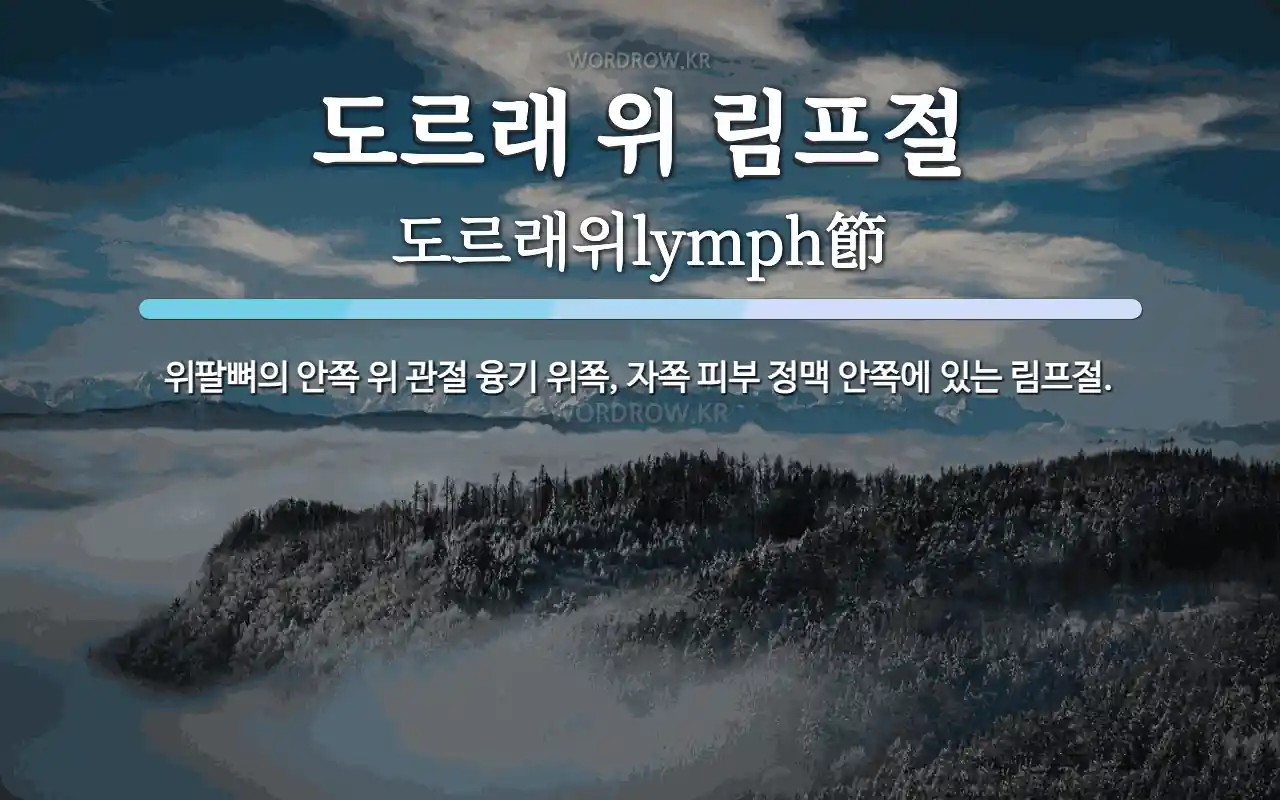 도르래 위 림프절 뜻 위팔뼈의 안쪽 위 관절 융기 위쪽 자쪽 피부 정맥 안쪽에 있는 림프절