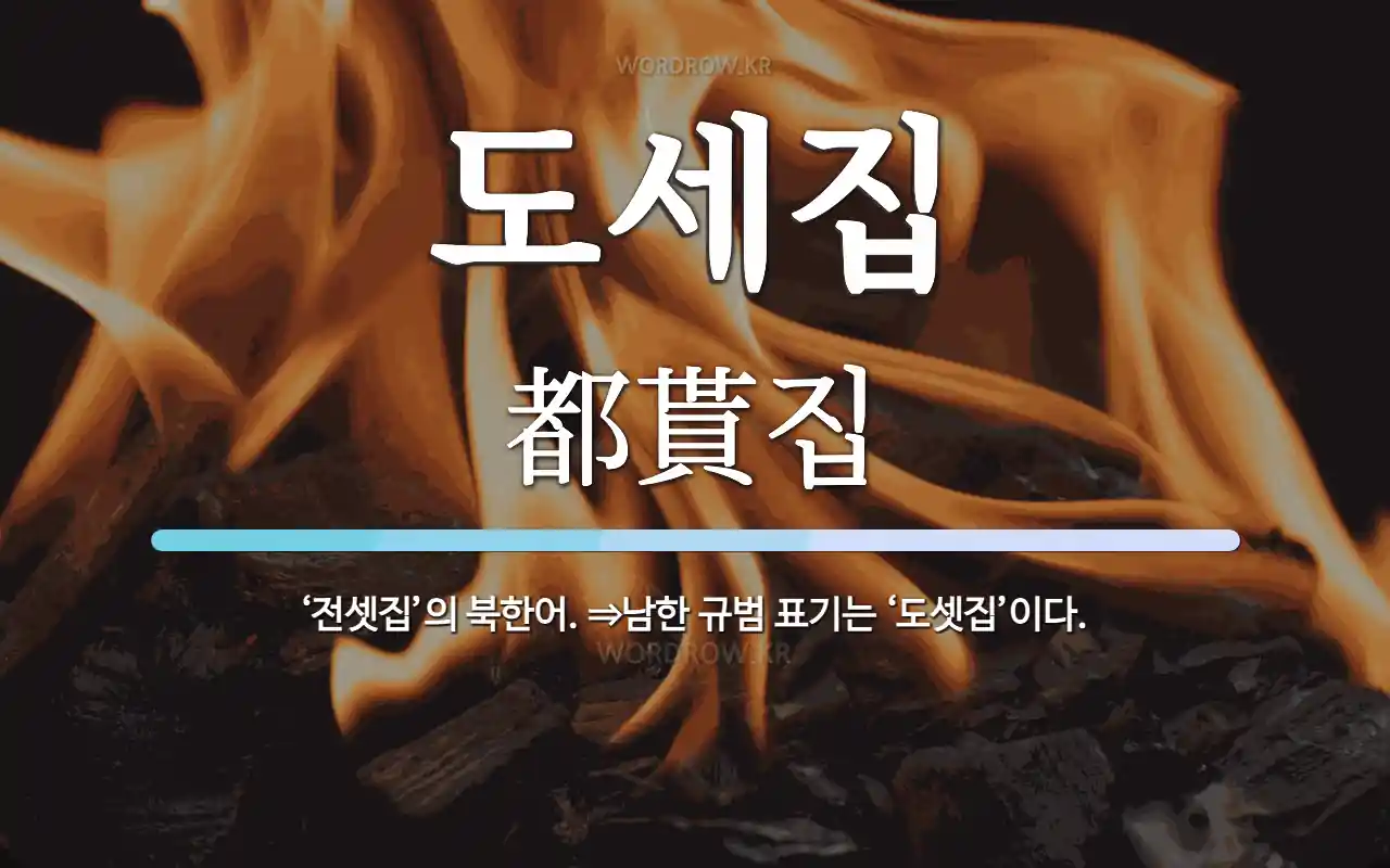 도세집 뜻 ‘전셋집의 북한어 ⇒남한 규범 표기는 ‘도셋집이다