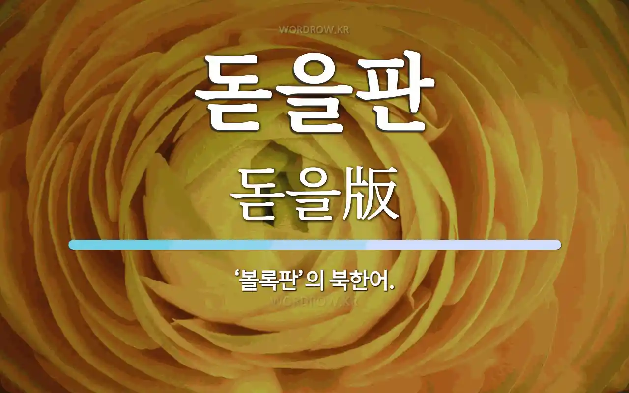 돋을판 뜻 ‘볼록판의 북한어