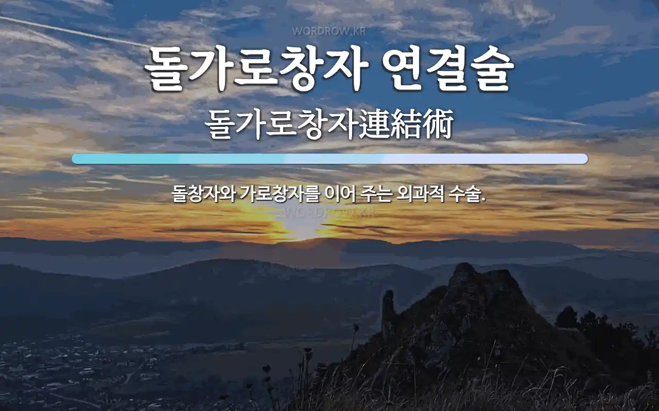 돌가로창자 연결술 뜻 돌창자와 가로창자를 이어 주는 외과적 수술