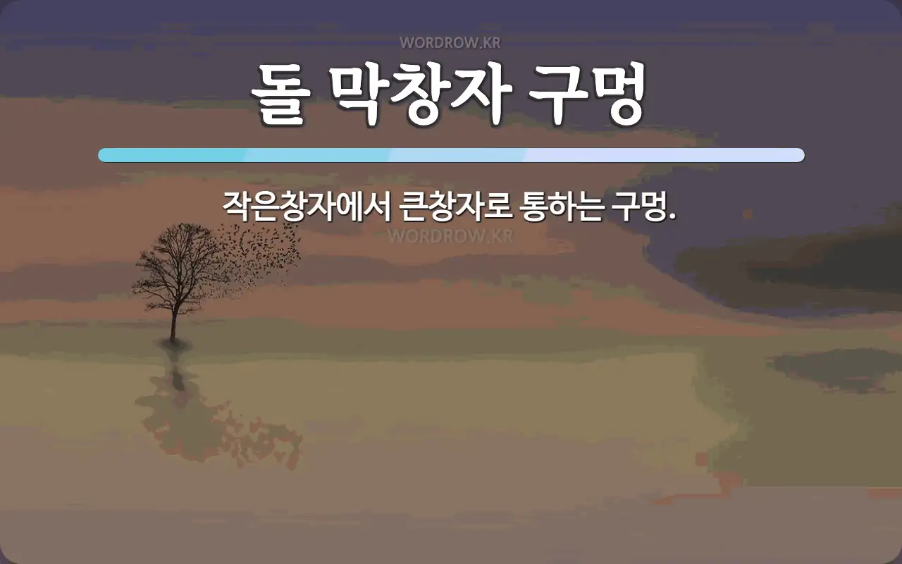 돌 막창자 구멍 뜻 작은창자에서 큰창자로 통하는 구멍