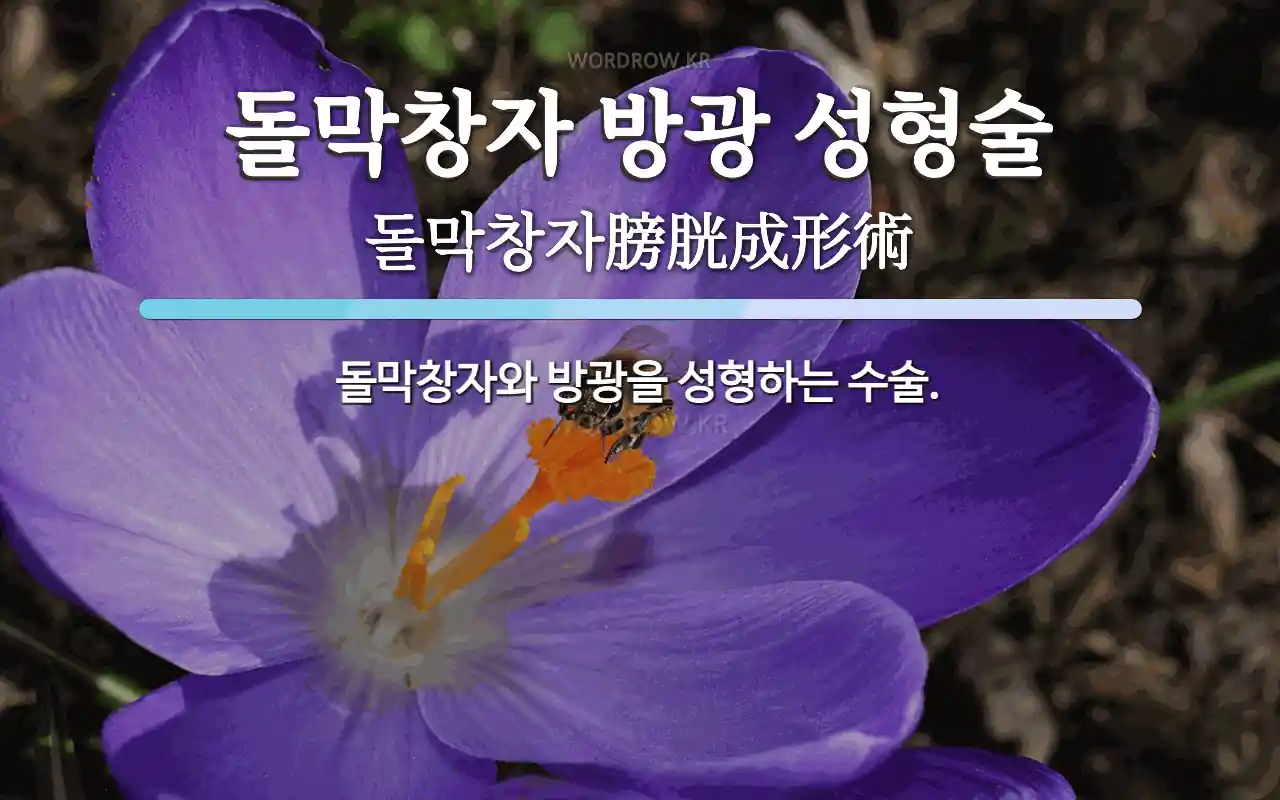 돌막창자 방광 성형술 뜻 돌막창자와 방광을 성형하는 수술