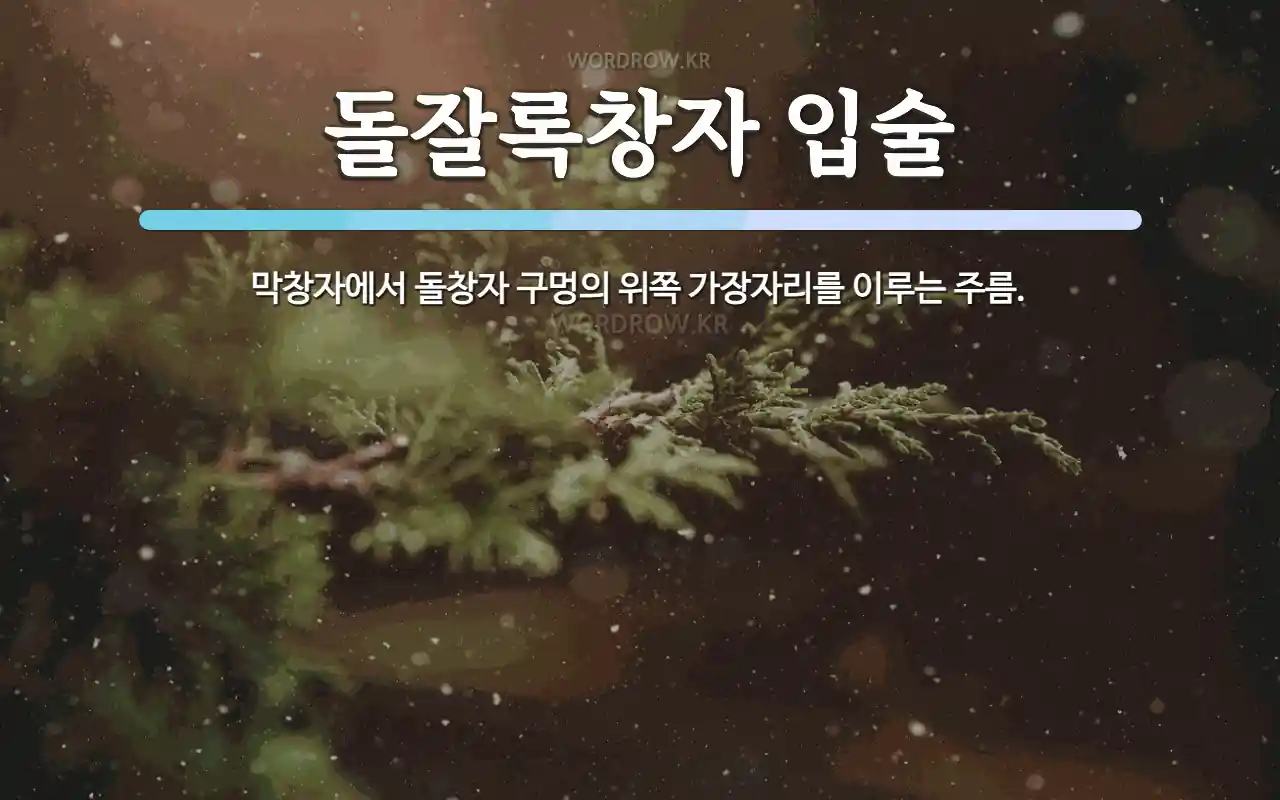 돌잘록창자 입술 뜻 막창자에서 돌창자 구멍의 위쪽 가장자리를 이루는 주름