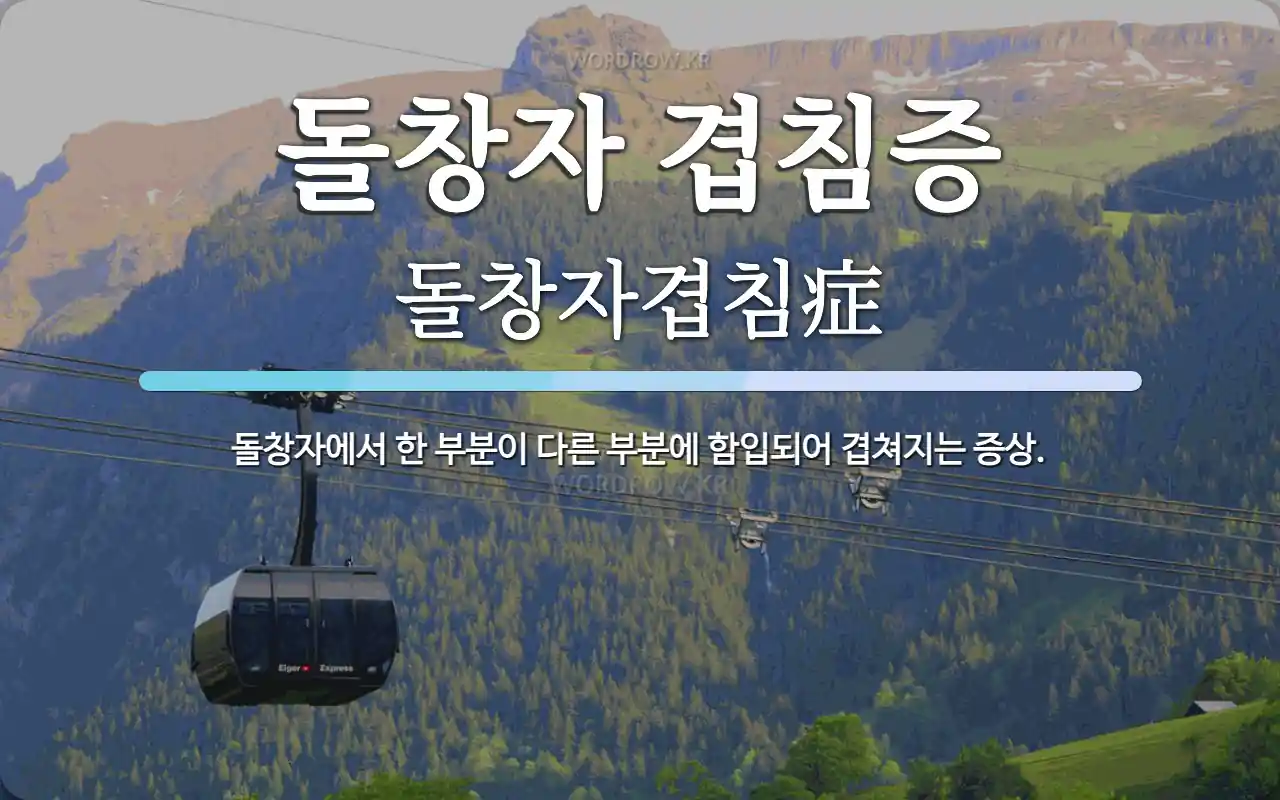 돌창자 겹침증 뜻 돌창자에서 한 부분이 다른 부분에 함입되어 겹쳐지는 증상