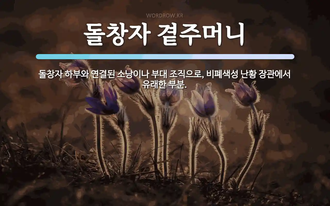 돌창자 곁주머니 뜻 돌창자 하부와 연결된 소낭이나 부대 조직으로 비폐색성 난황 장관에서 유래한 부분