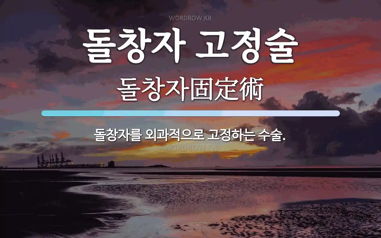 돌창자 고정술 뜻 돌창자를 외과적으로 고정하는 수술