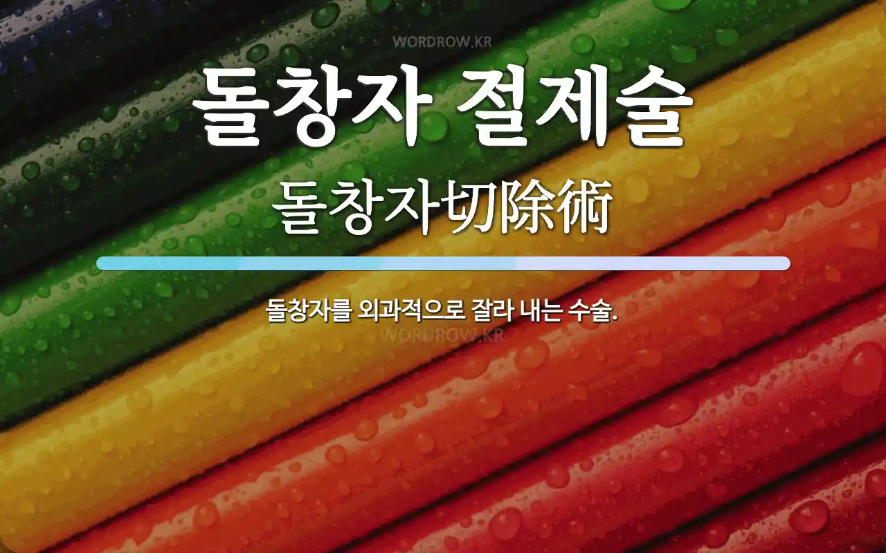 돌창자 절제술 뜻 돌창자를 외과적으로 잘라 내는 수술