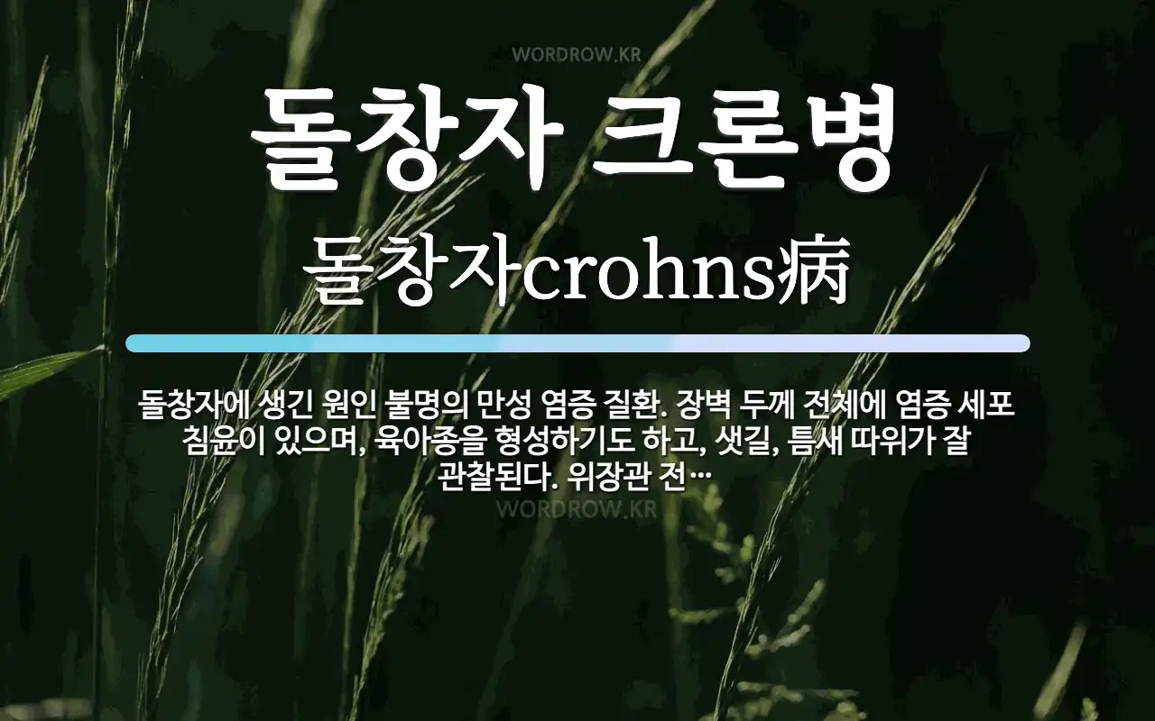 돌창자 크론병 뜻 돌창자에 생긴 원인 불명의 만성 염증 질환 장벽 두께 전체에 염증 세포 침윤이 있으며