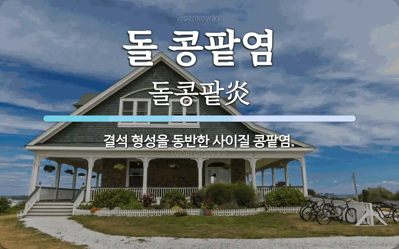돌 콩팥염 뜻 결석 형성을 동반한 사이질 콩팥염