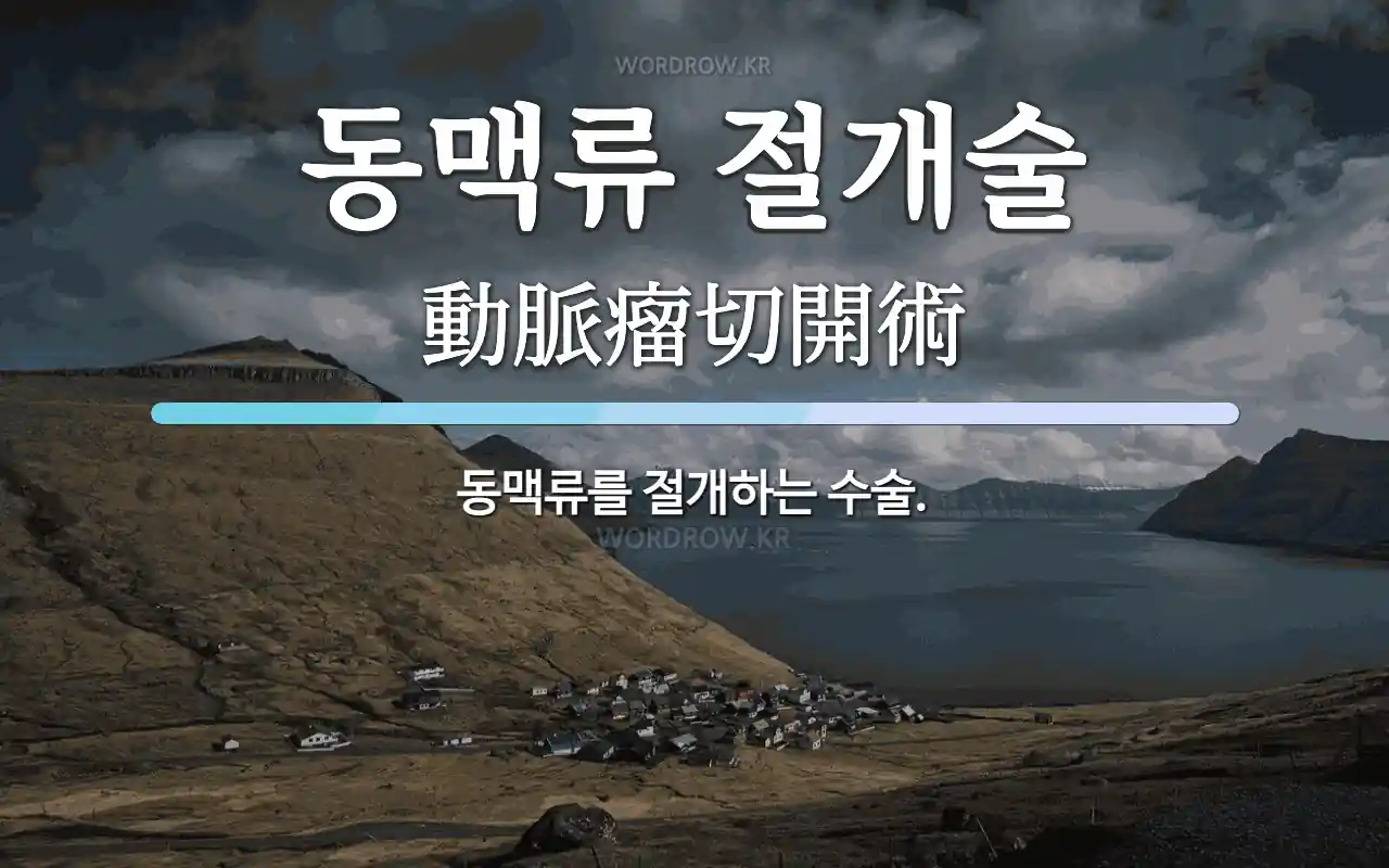 동맥류 절개술 뜻 동맥류를 절개하는 수술