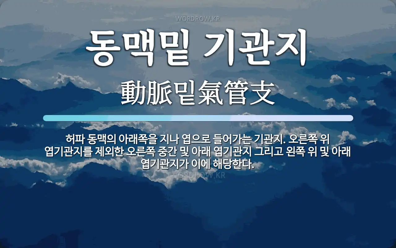 동맥밑 기관지 뜻 허파 동맥의 아래쪽을 지나 엽으로 들어가는 기관지 오른쪽 위 엽기관지를 제외한 오른쪽 중