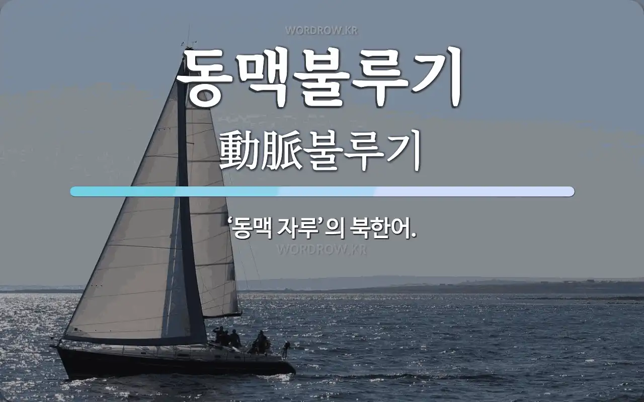 동맥불루기 뜻 ‘동맥 자루의 북한어