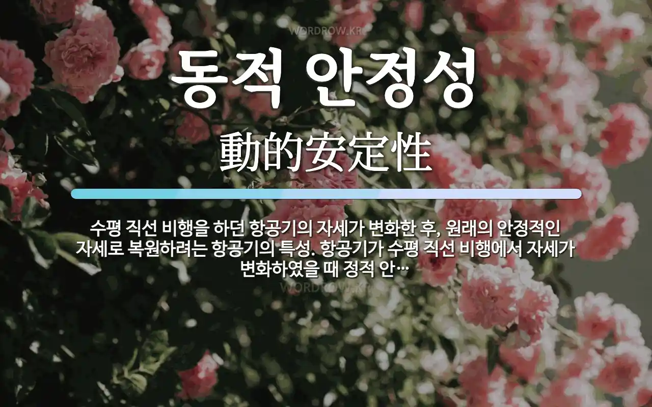 동적 안정성 뜻 수평 직선 비행을 하던 항공기의 자세가 변화한 후 원래의 안정적인 자세로 복원하려는 항공