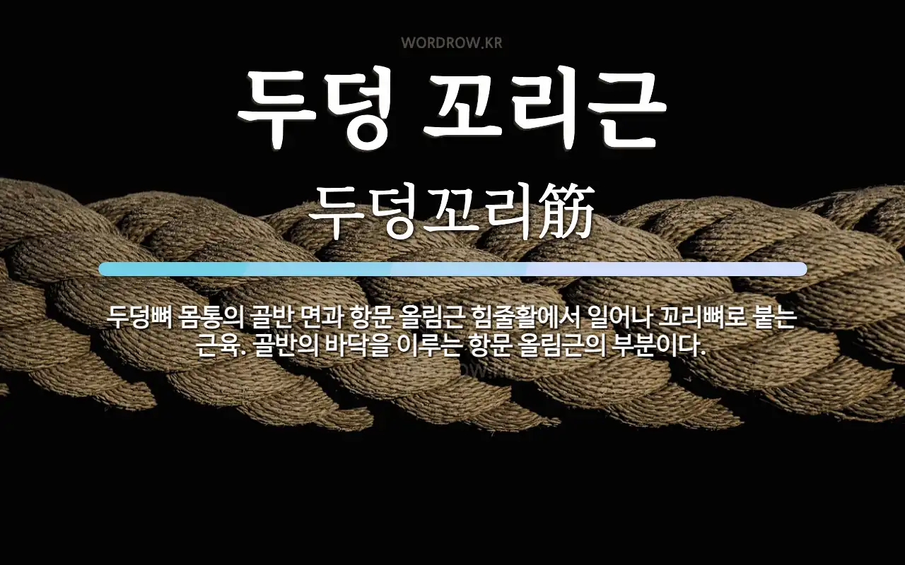 두덩 꼬리근 뜻 두덩뼈 몸통의 골반 면과 항문 올림근 힘줄활에서 일어나 꼬리뼈로 붙는 근육 골반의 바닥을