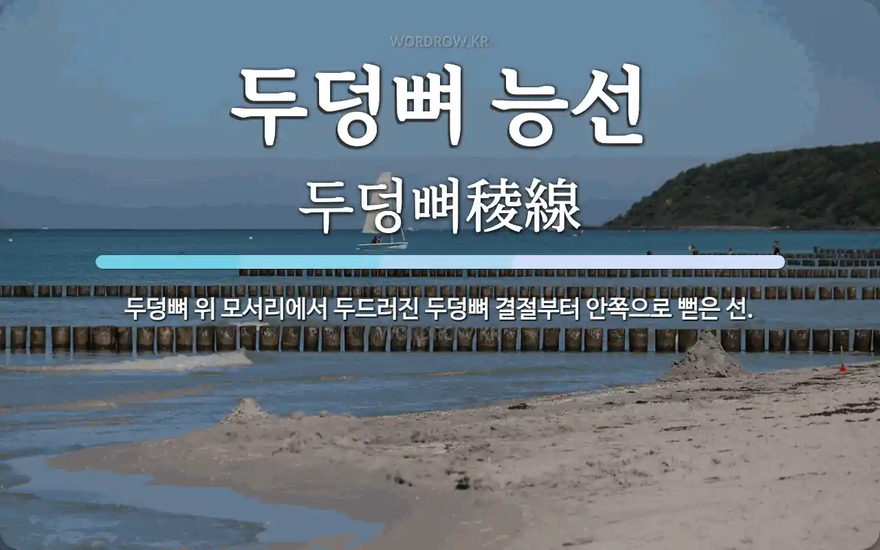 두덩뼈 능선 뜻 두덩뼈 위 모서리에서 두드러진 두덩뼈 결절부터 안쪽으로 뻗은 선