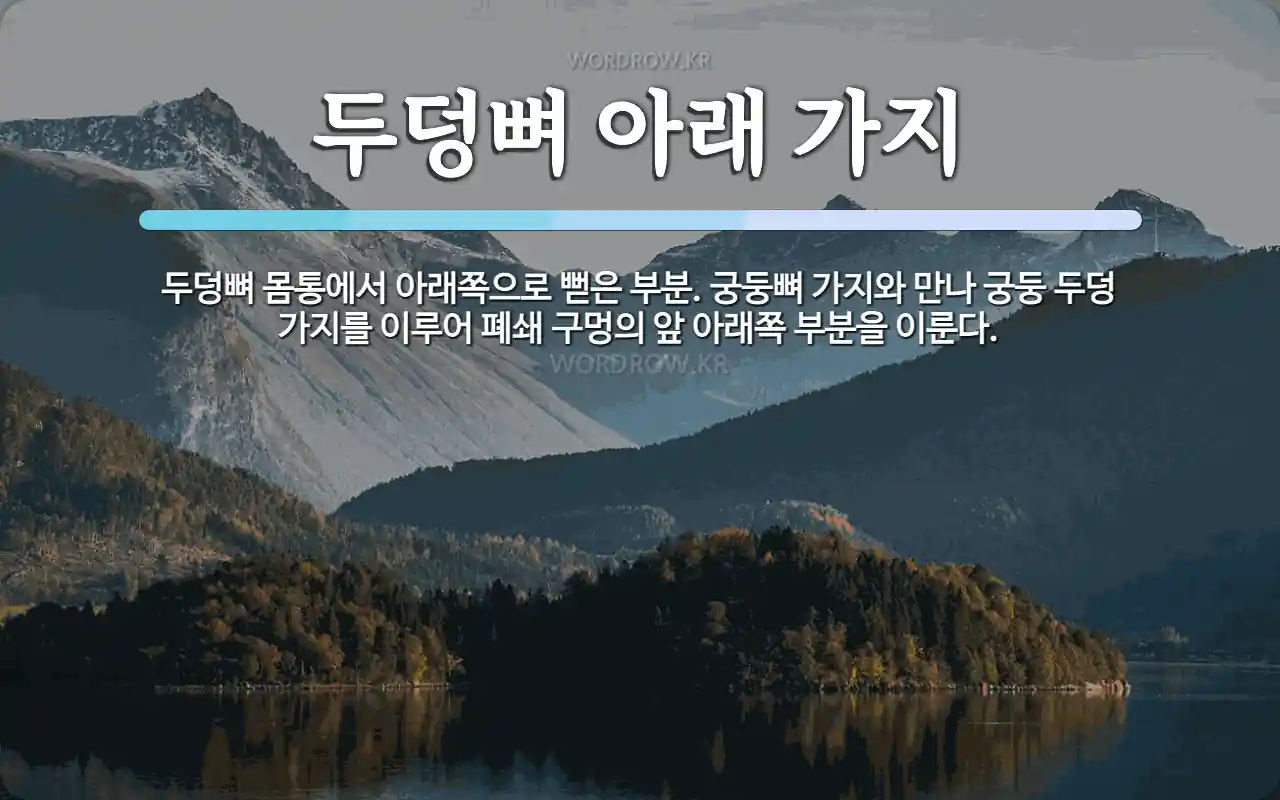 두덩뼈 아래 가지 뜻 두덩뼈 몸통에서 아래쪽으로 뻗은 부분 궁둥뼈 가지와 만나 궁둥 두덩 가지를 이루어 폐쇄