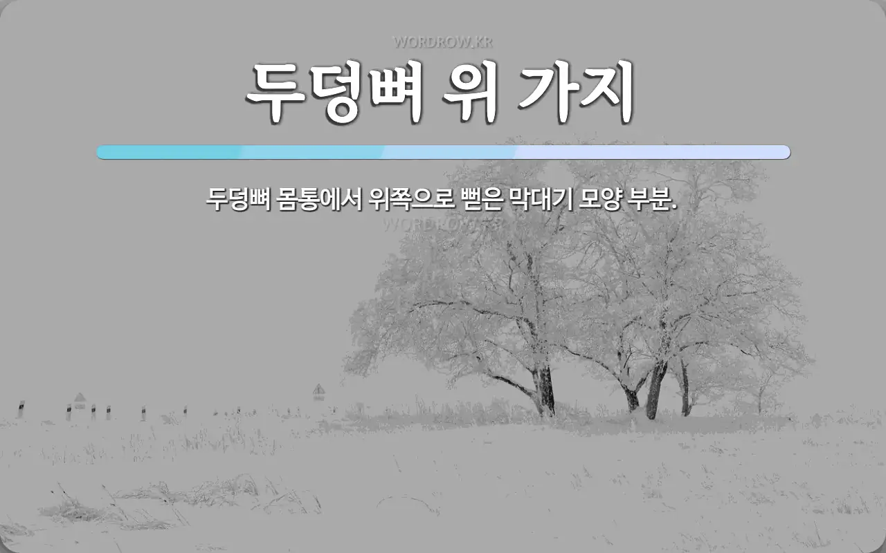 두덩뼈 위 가지 뜻 두덩뼈 몸통에서 위쪽으로 뻗은 막대기 모양 부분