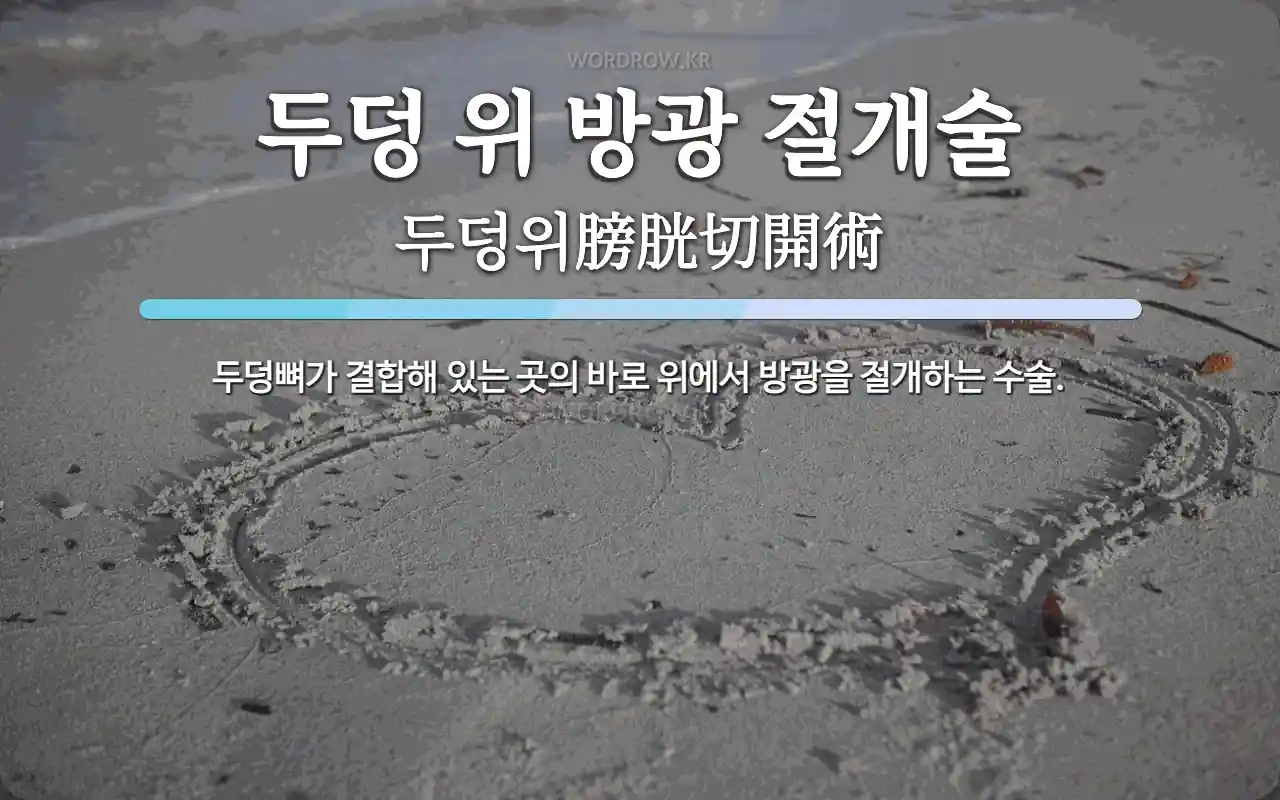 두덩 위 방광 절개술 뜻 두덩뼈가 결합해 있는 곳의 바로 위에서 방광을 절개하는 수술