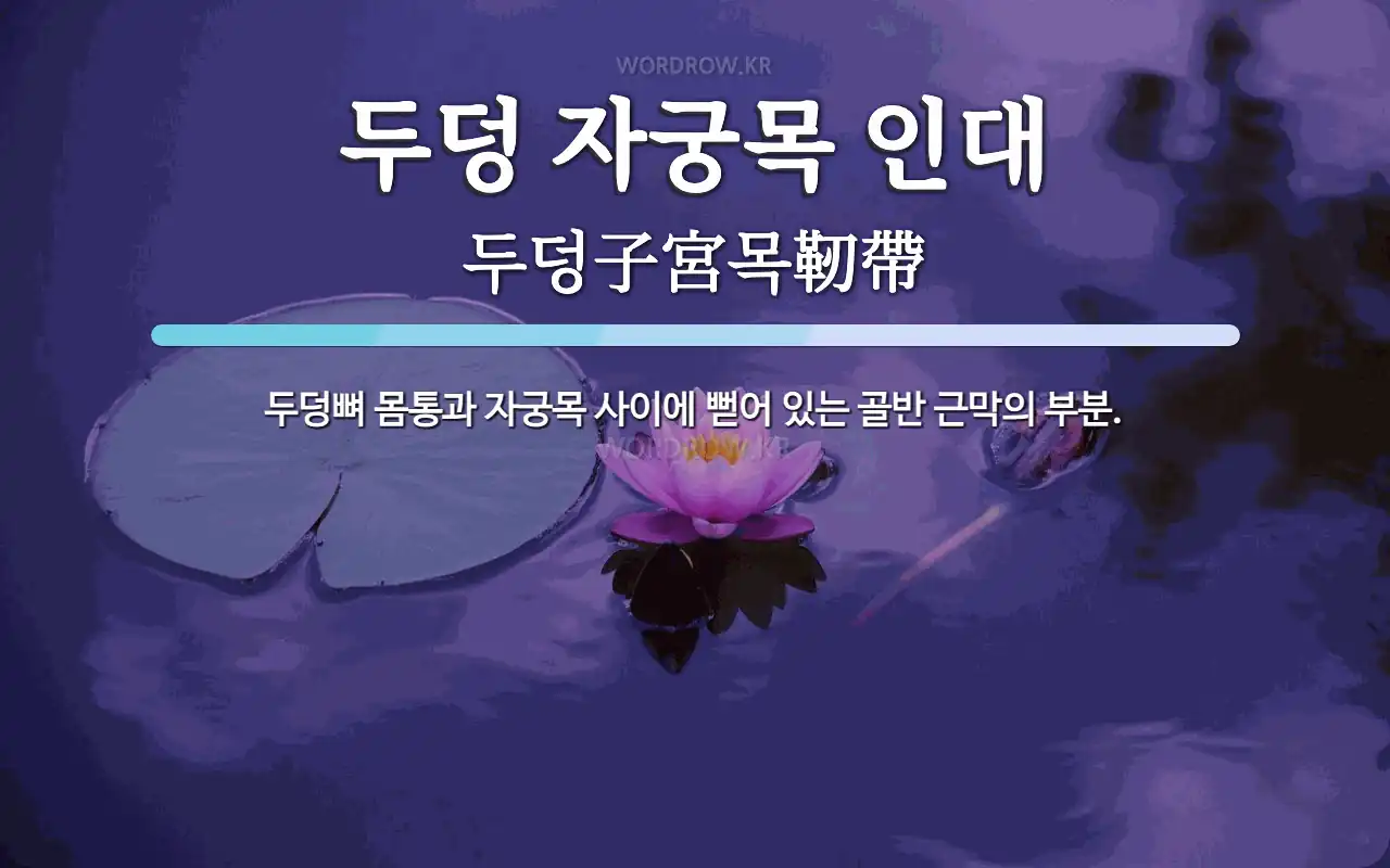 두덩 자궁목 인대 뜻 두덩뼈 몸통과 자궁목 사이에 뻗어 있는 골반 근막의 부분