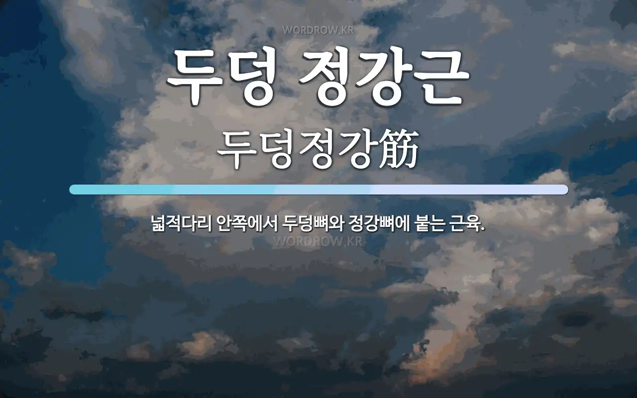 두덩 정강근 뜻 넓적다리 안쪽에서 두덩뼈와 정강뼈에 붙는 근육