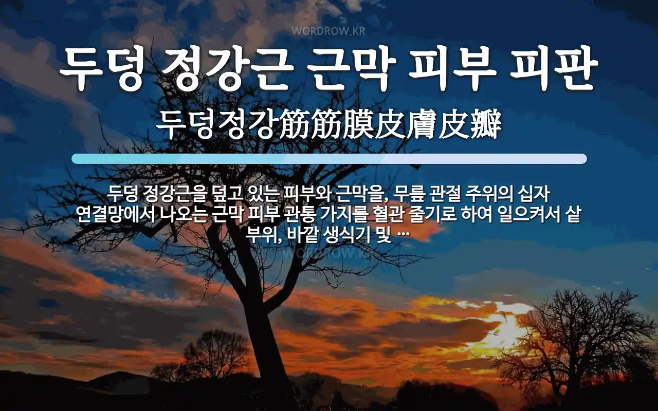 두덩 정강근 근막 피부 피판 뜻 두덩 정강근을 덮고 있는 피부와 근막을 무릎 관절 주위의 십자 연결망에서 나오는 근막 피