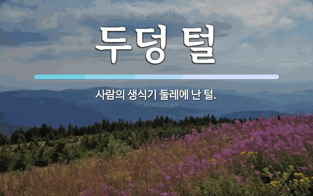 두덩 털 뜻 사람의 생식기 둘레에 난 털