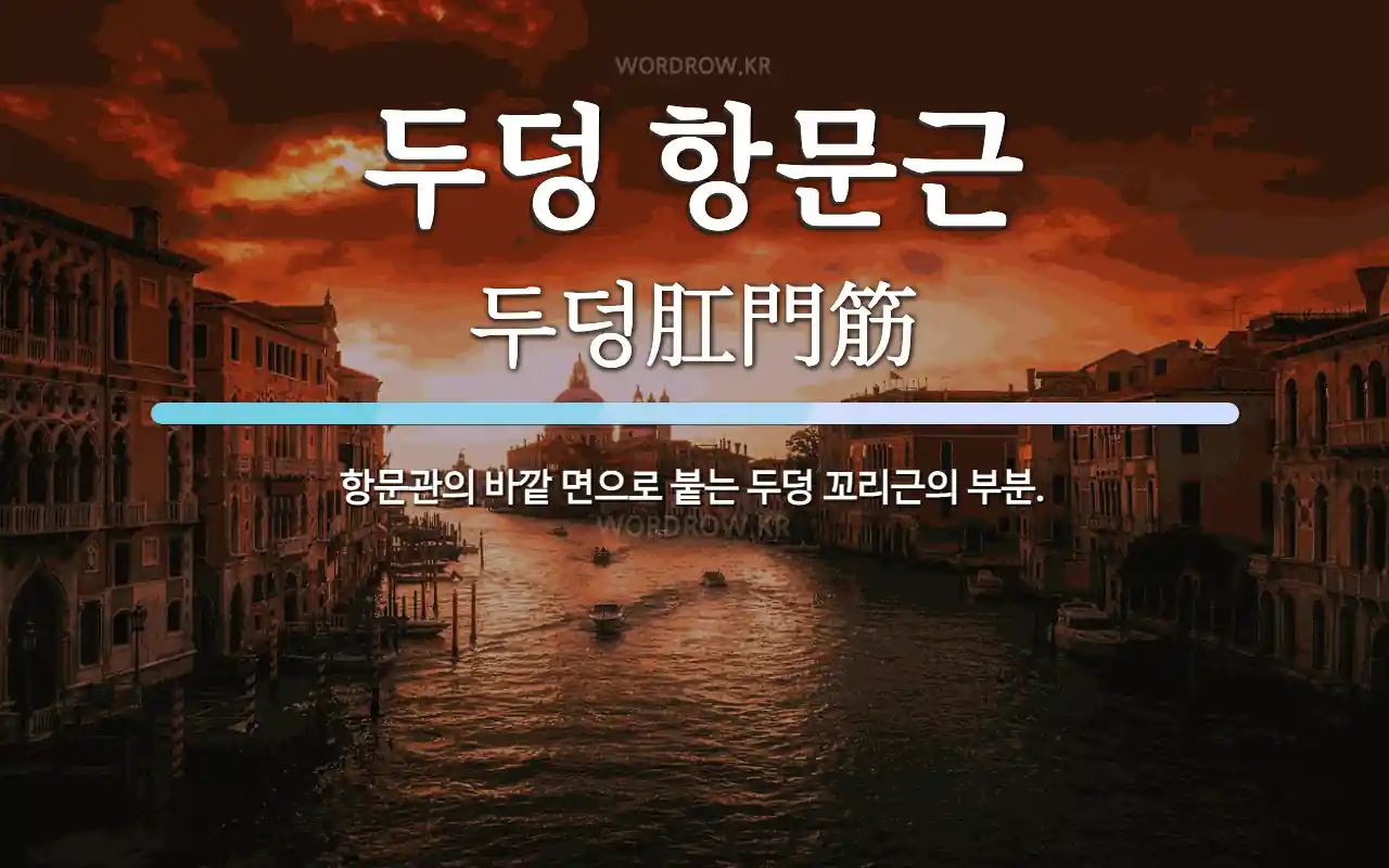 두덩 항문근 뜻 항문관의 바깥 면으로 붙는 두덩 꼬리근의 부분